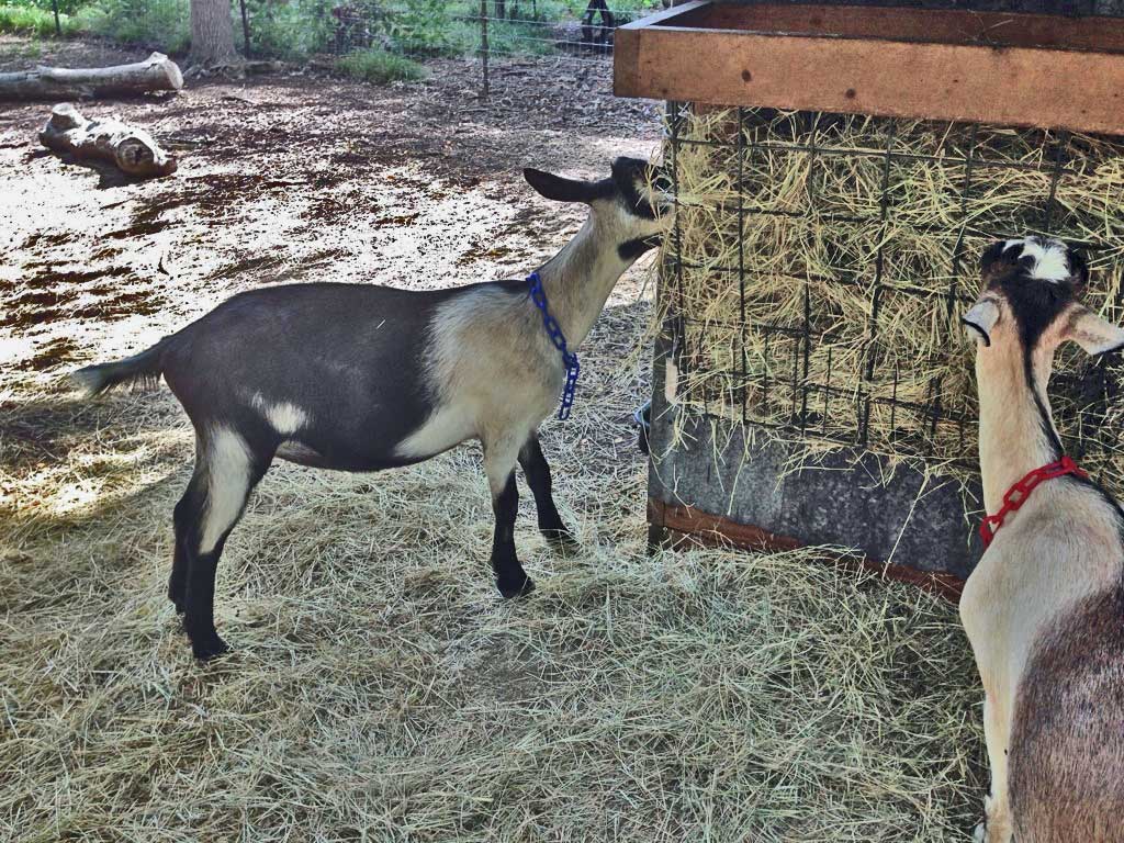 The Edge Of Autumn – Free Range